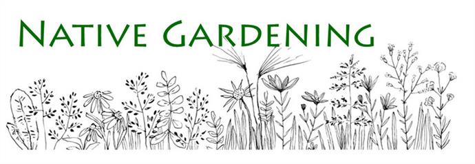 Native Gardening Guide