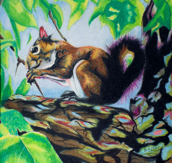 Shirley Tipton