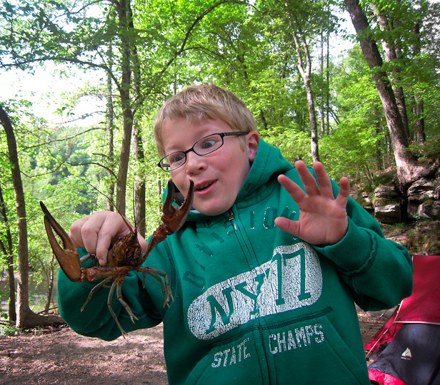 The Crayfish Story No One Believed (But Turned Out to Be True)