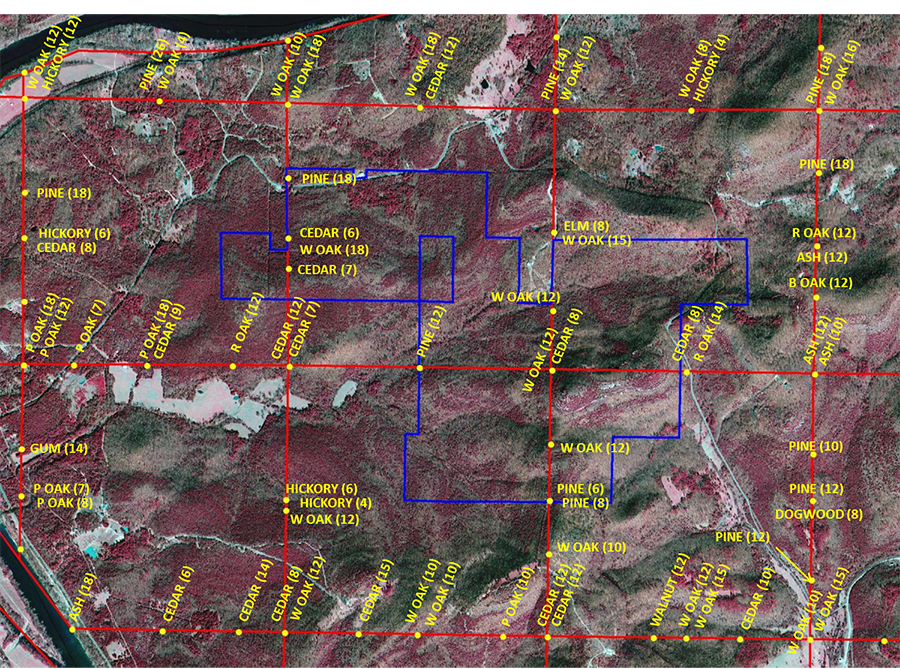 GLO Records: The Ecological Time Machine