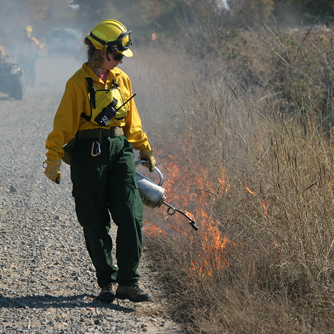 Prescribed Fire: A Helpful Management Tool