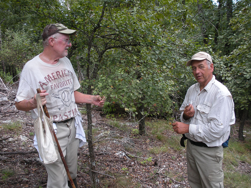Volunteer Keesling assists the ANHC with rare plant species