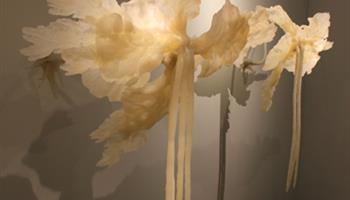 Robert Lemming & Louis Watts