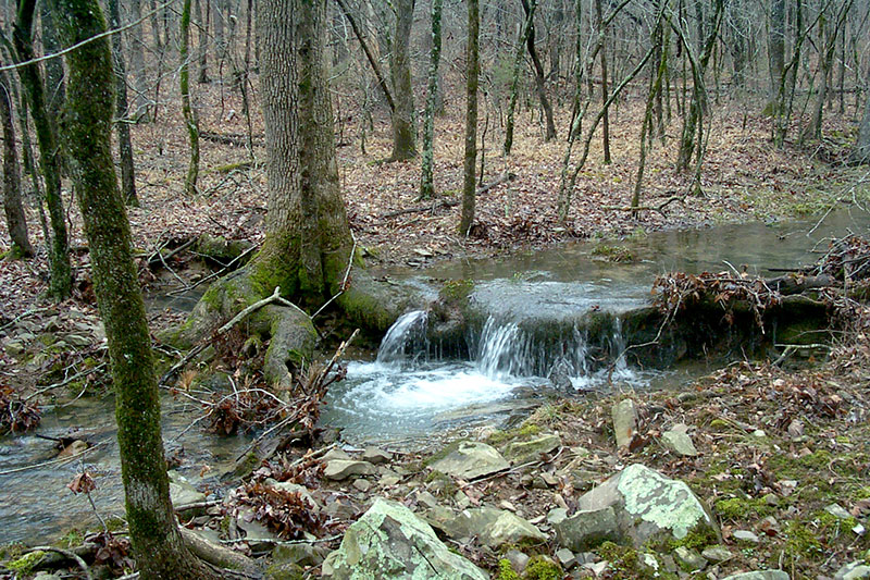 Summer Fun with Arkansas Heritage!