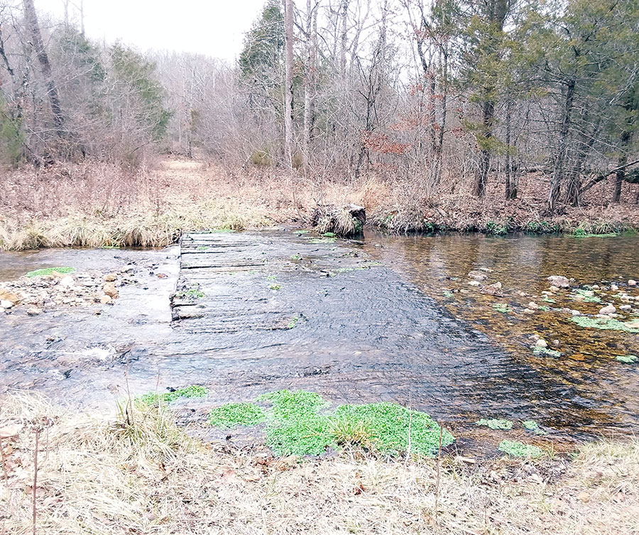 Rock Creek Natural Area