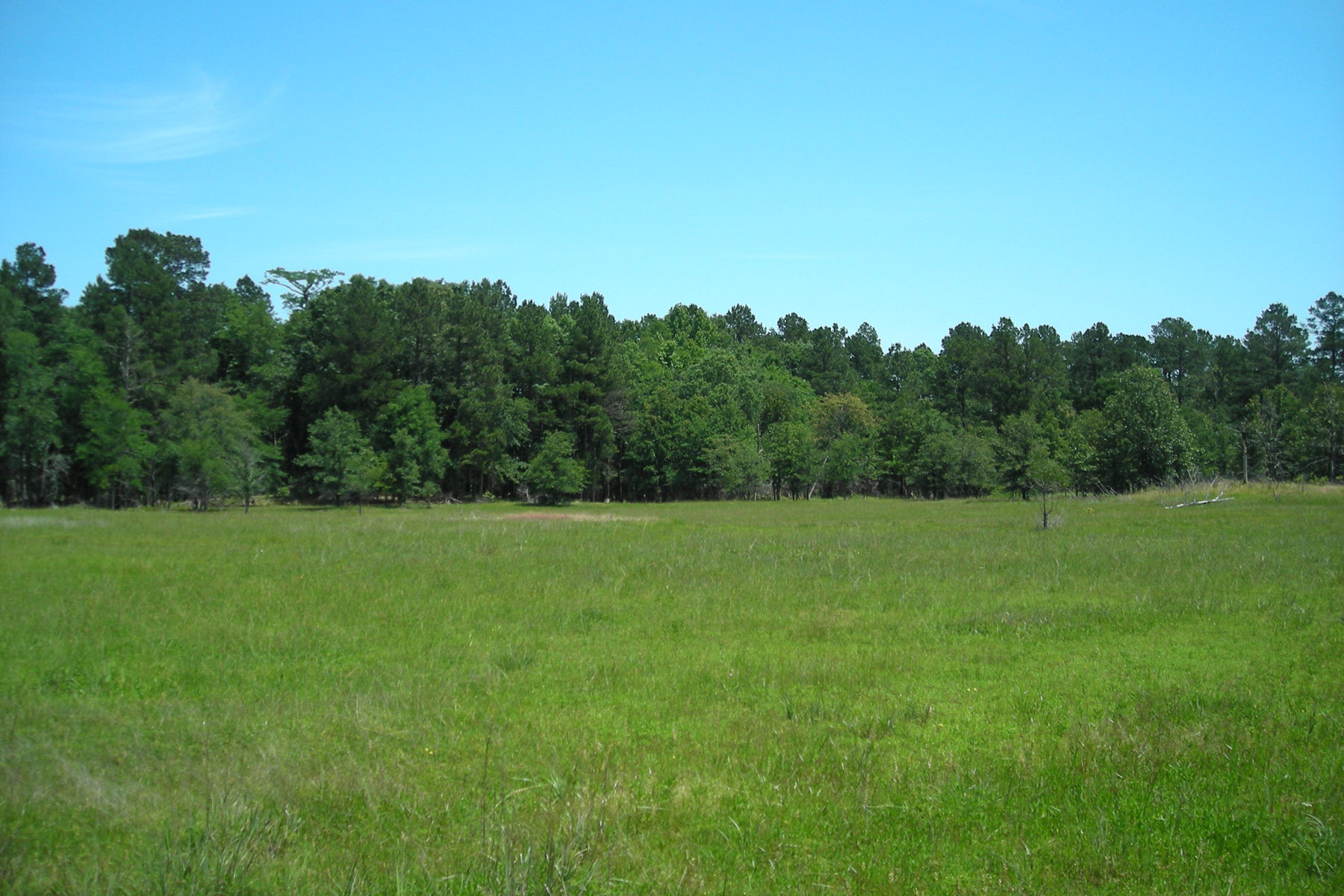Warren Prairie Natural Area