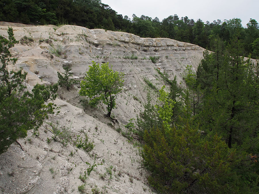 White Cliffs Natural Area