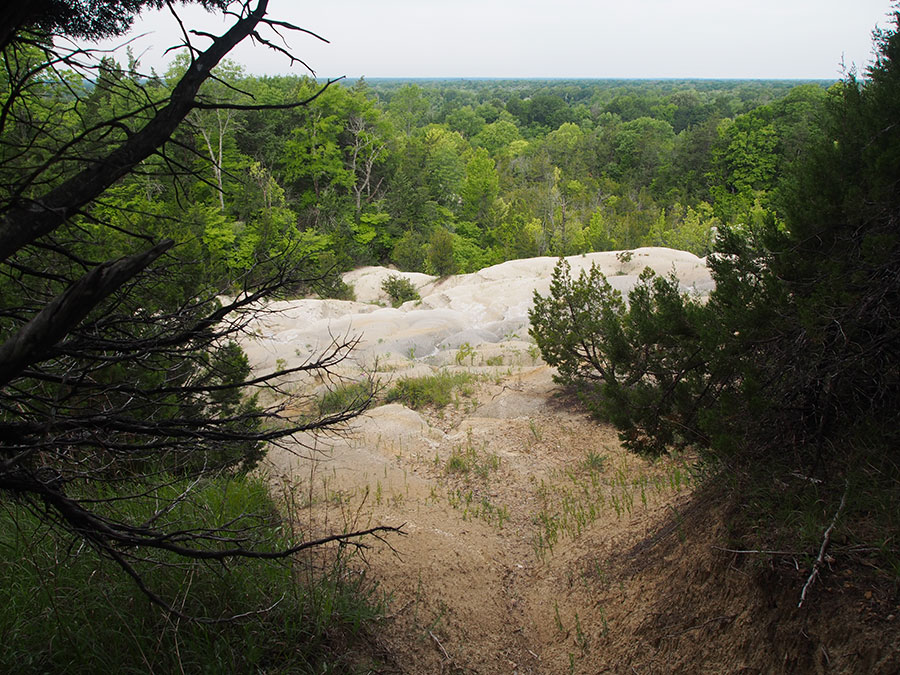 White Cliffs Natural Area