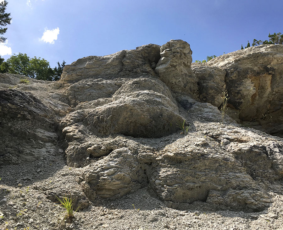 White Cliffs Natural Area