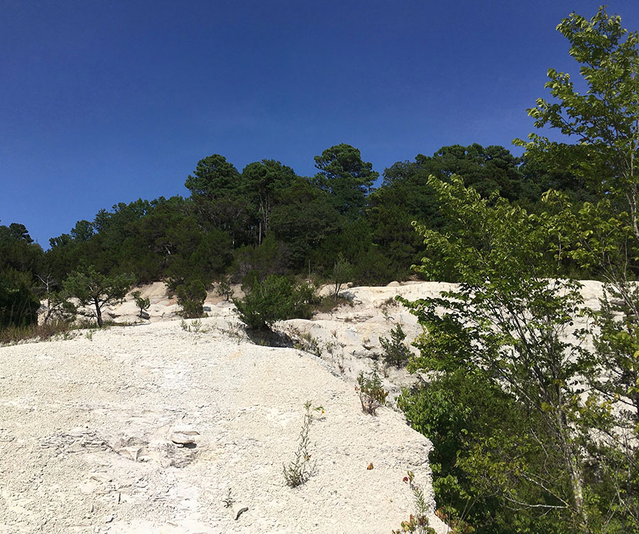 White Cliffs Natural Area
